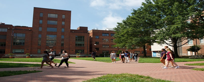 Univeristies for Studying Abroad | Opportunities | Study Abroad